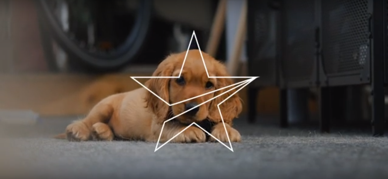 Website launches, smashing targets, video content and Take That